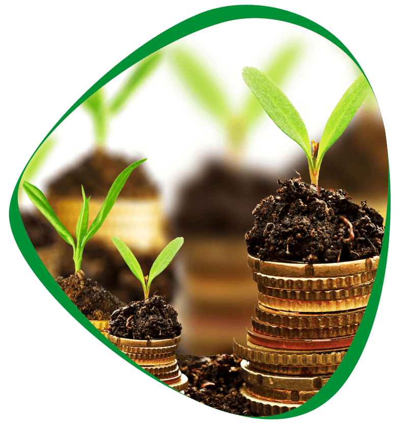 The Varachha Co-Op Bank Ltd., Surat